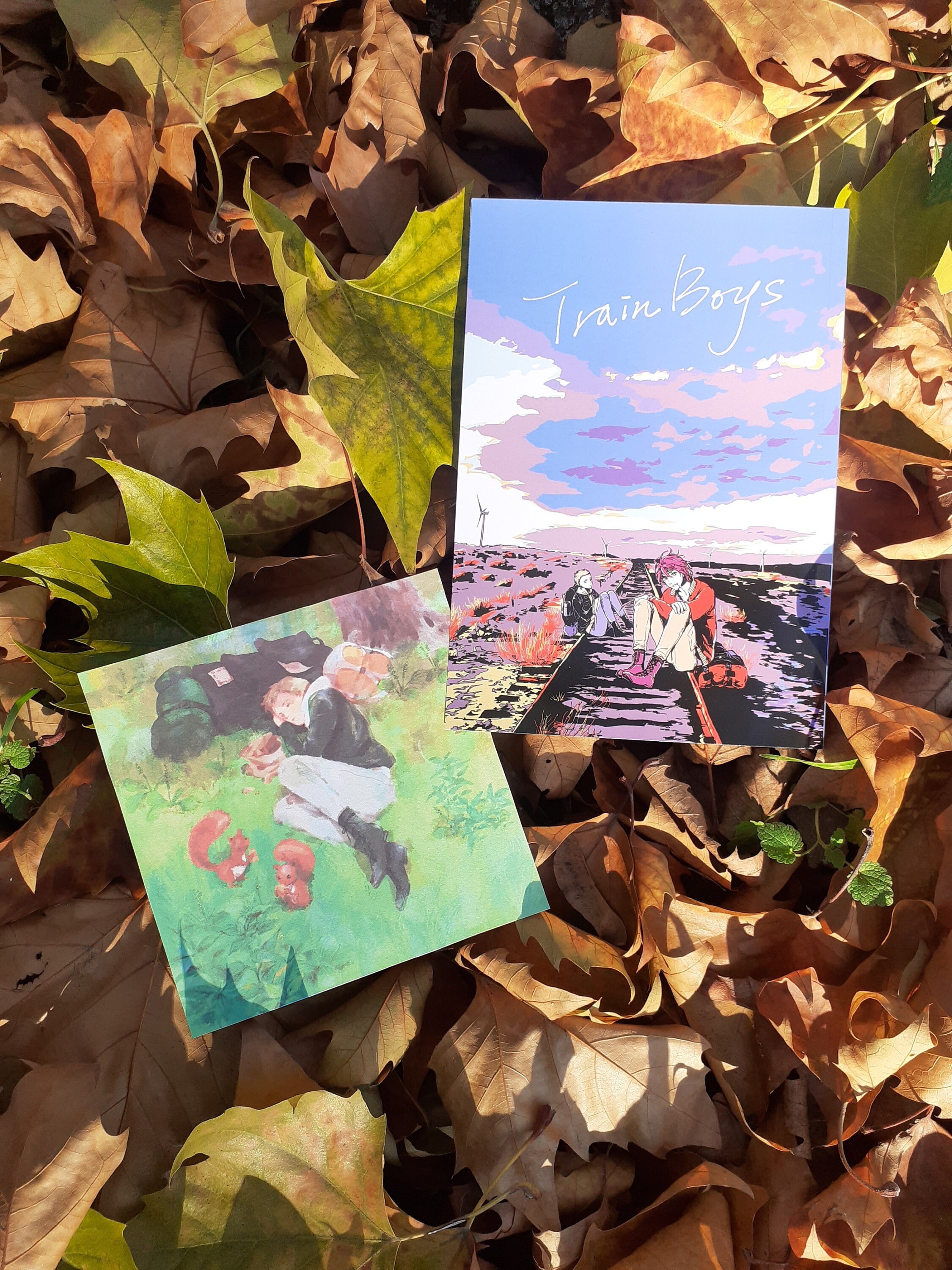 Train Boys: Adventure&yaoi Manga of Riding Freight Trains (paperback ...