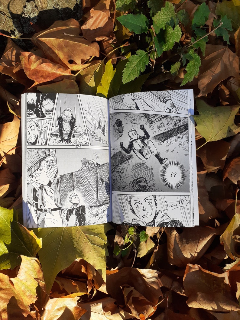 Train Boys: Adventure&yaoi Manga of Riding Freight Trains (paperback ...