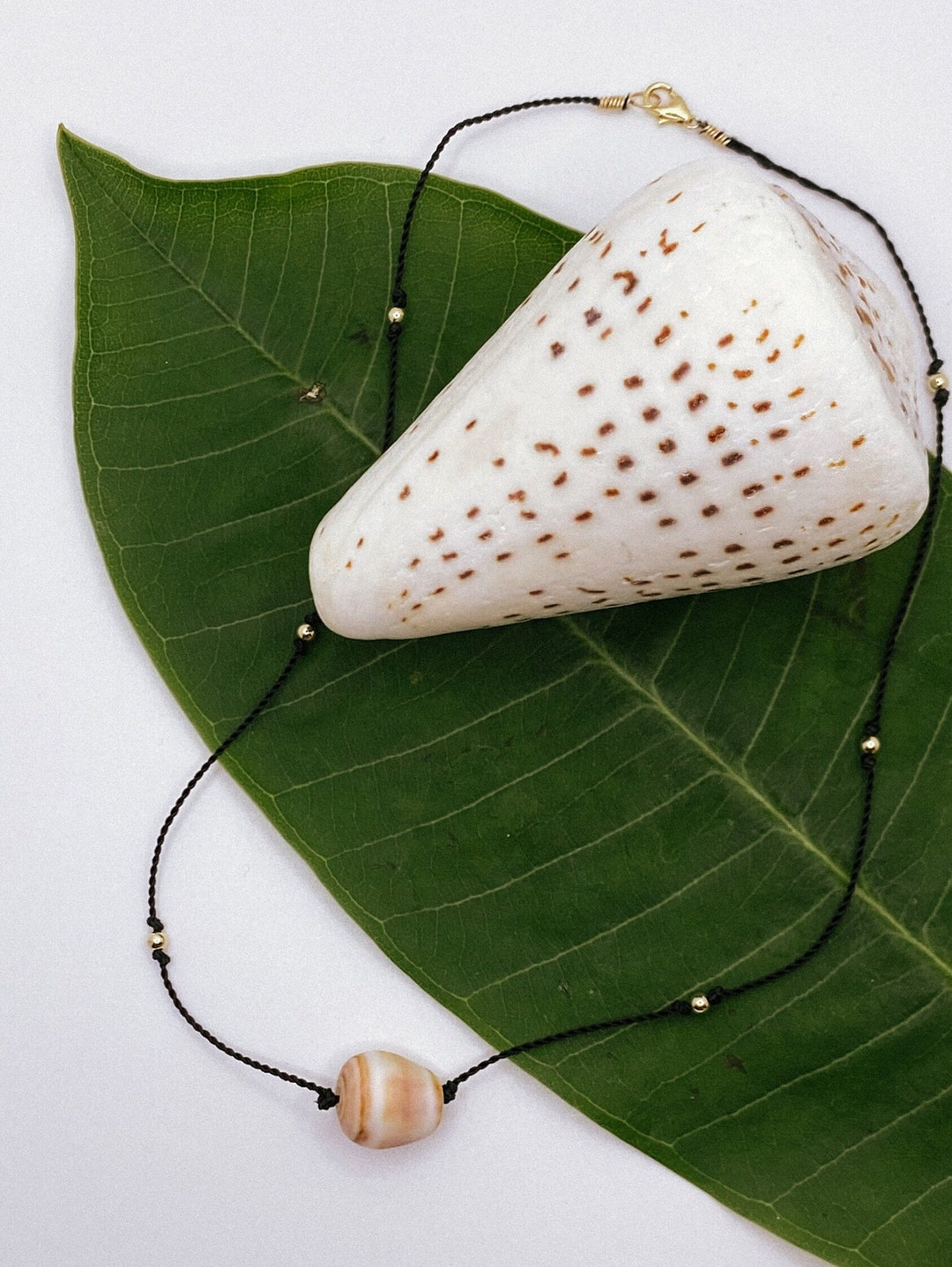 Knotted Cone Shell Necklace, Cord Necklace, Shell Jewelry, Beach ...