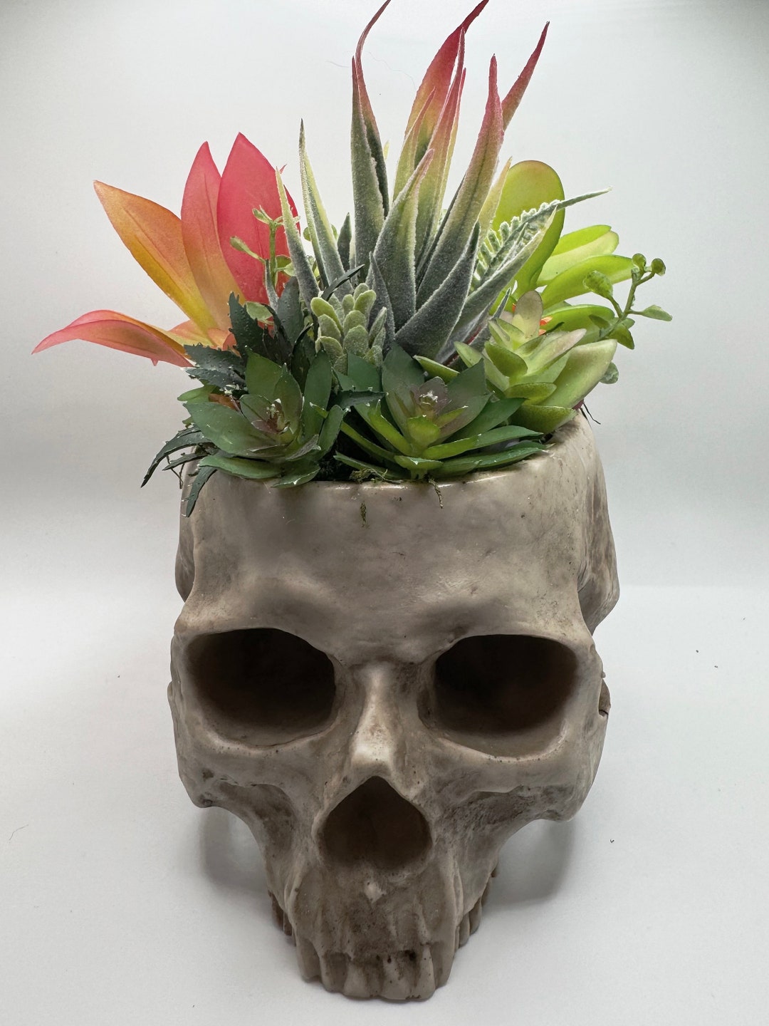 Skeleton Planter - Etsy