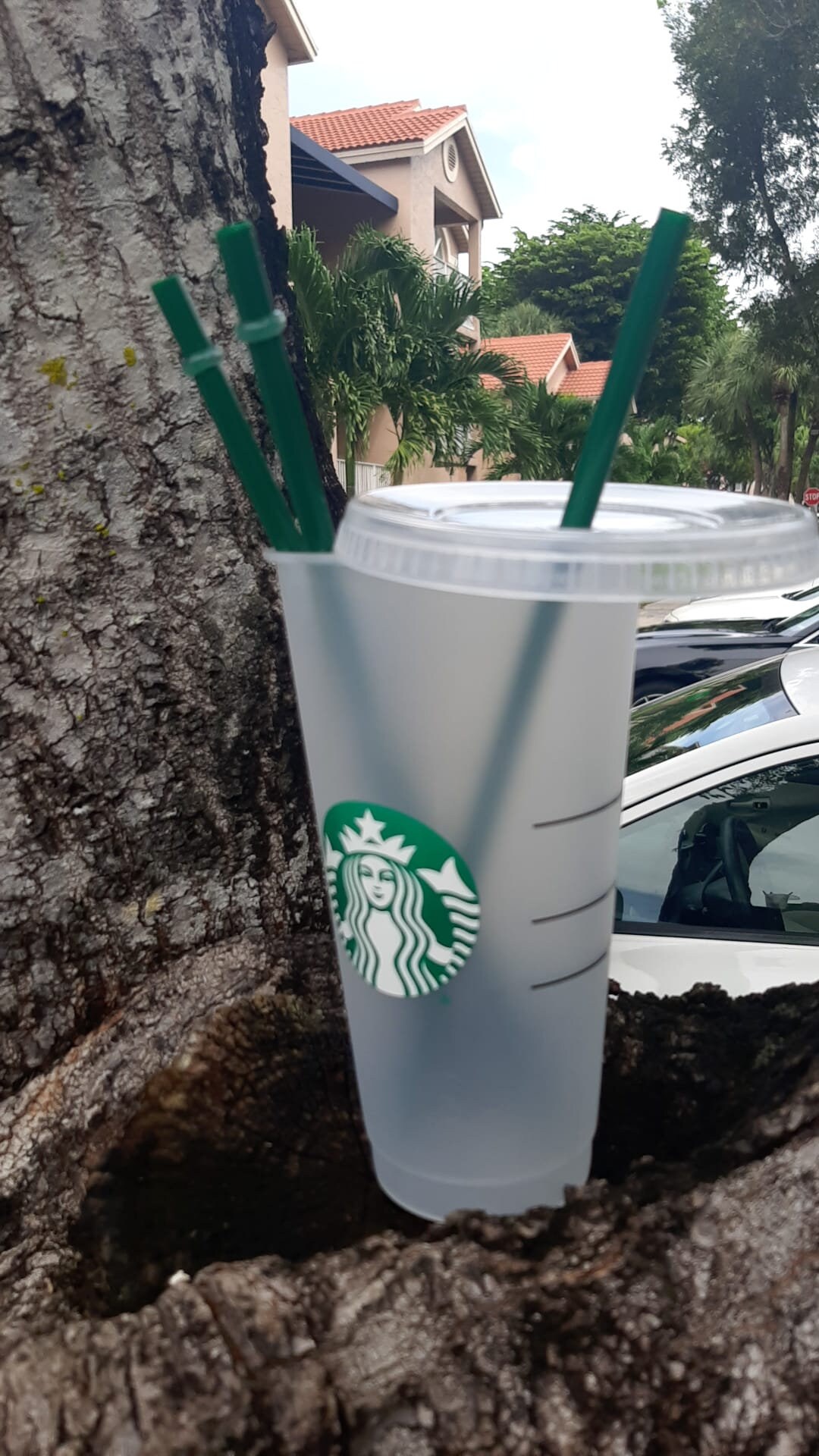 Starbucks Reusable Clear-frost Cold Cup Tumbler 24 Oz With 1 Lid & 2 ...