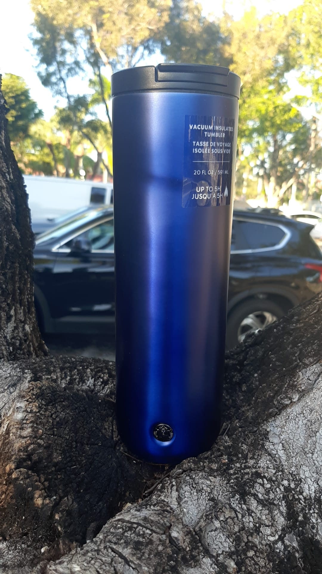 Starbucks Colbert Blue Fall 2020 Tumbler - Etsy