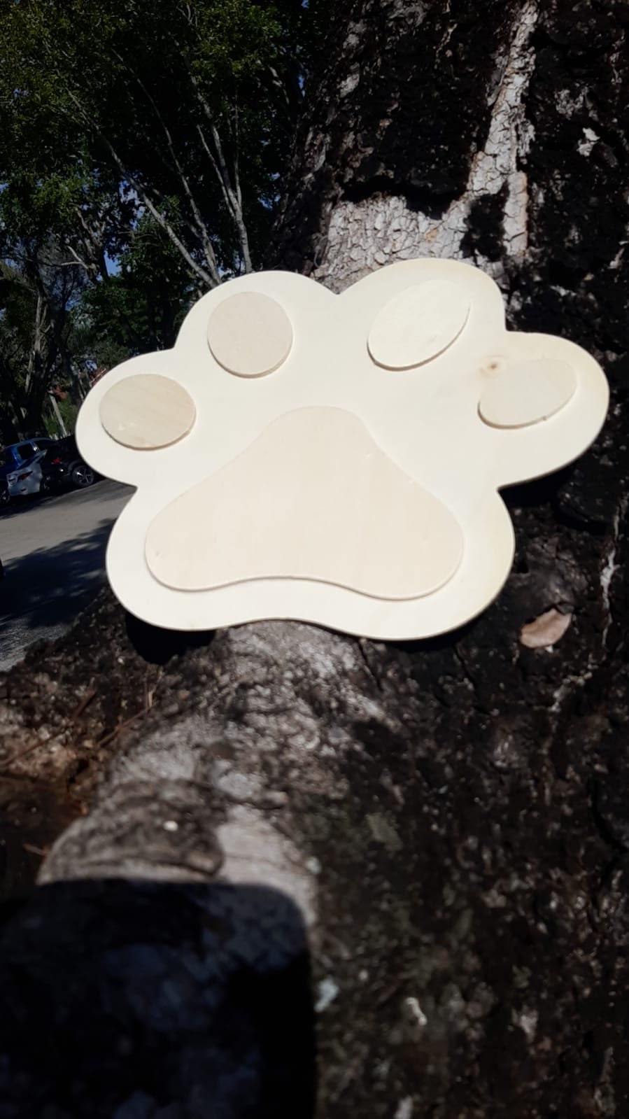 Wooden Dog Paw Ideal for Arts and Crafts - Etsy