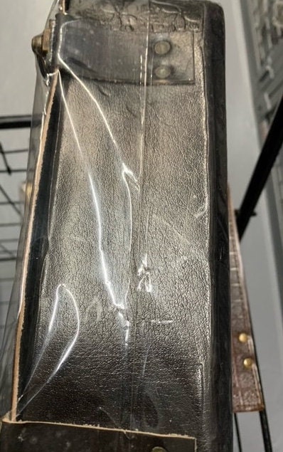 Large Tree of Life Book - Etsy