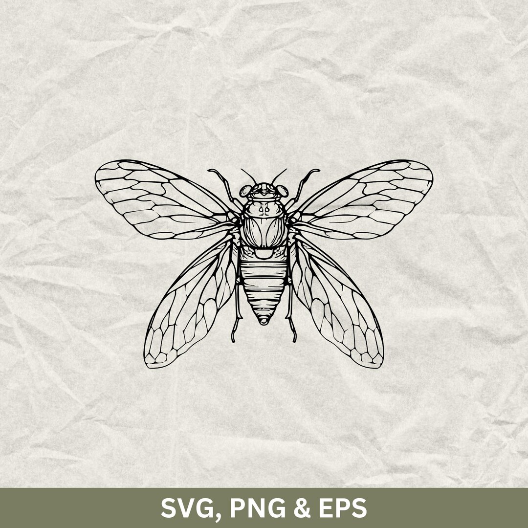 Cicada Silhouette SVG PNG EPS, Insect Bug Clipart, Summer Locust Nature ...