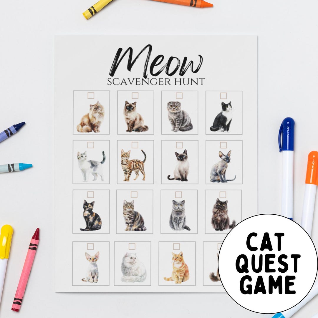 Cat Scavenger Hunt Adventure, Fun and Challenging Puzzle for Cats ...
