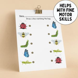 Printable Matching Worksheets, Fun Learning Tools for Early Childhood ...