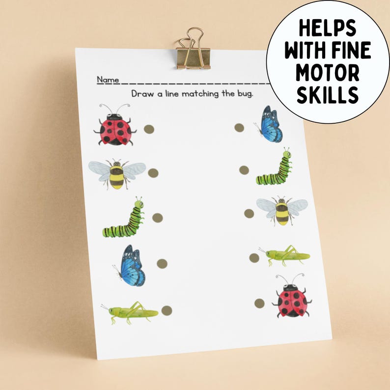 Printable Matching Worksheets, Fun Learning Tools for Early Childhood ...