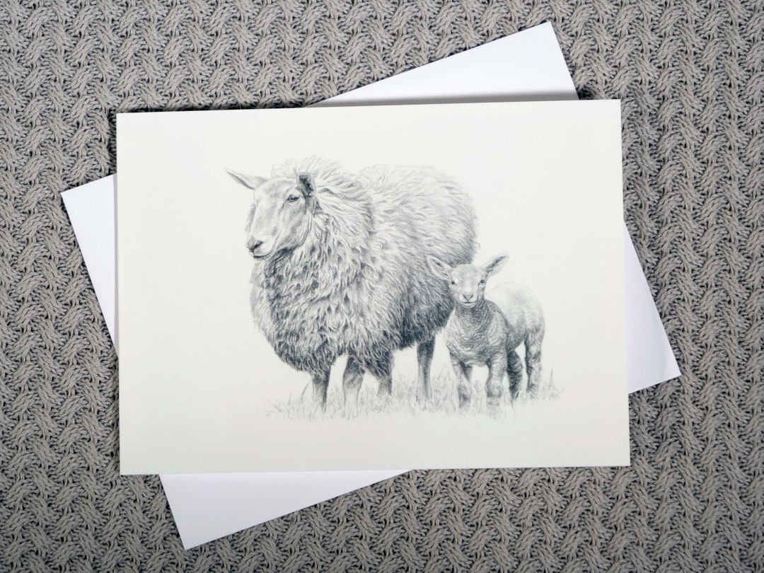 Gorgeous Sheep Card. Wonderful Sheep Greeting Card With a Sheep Drawing ...