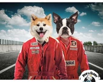 Race Car Driver Dog - Etsy