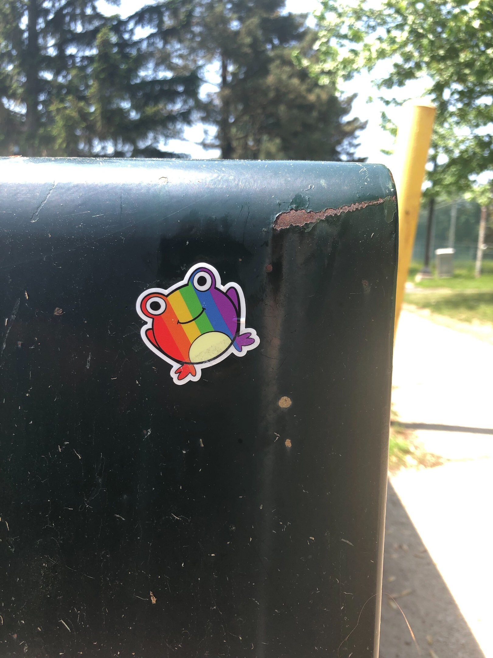 Rainbow Pride Frog Sticker - Etsy