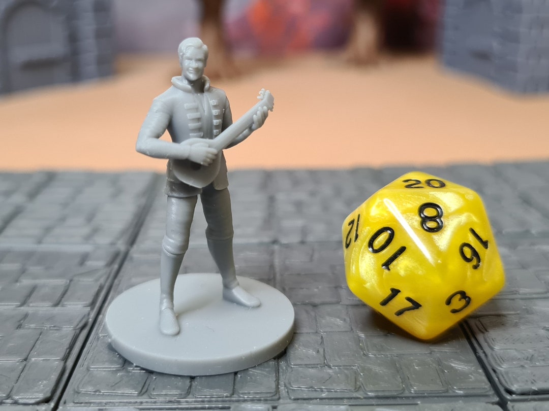 Human Male Bard | 28mm (D&D) Bard Miniature | Tabletop RPG - Etsy