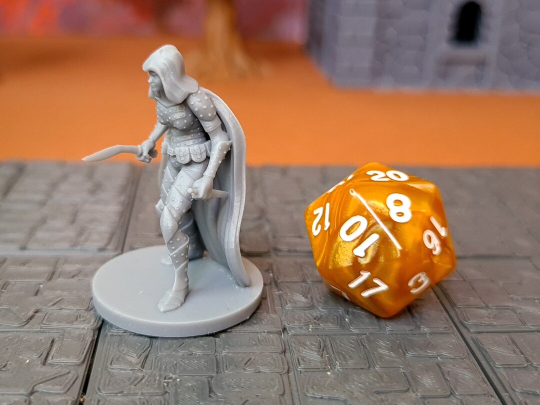Human Rogue | 28mm (D&D) Female Thief Miniature | Tabletop RPG - Etsy