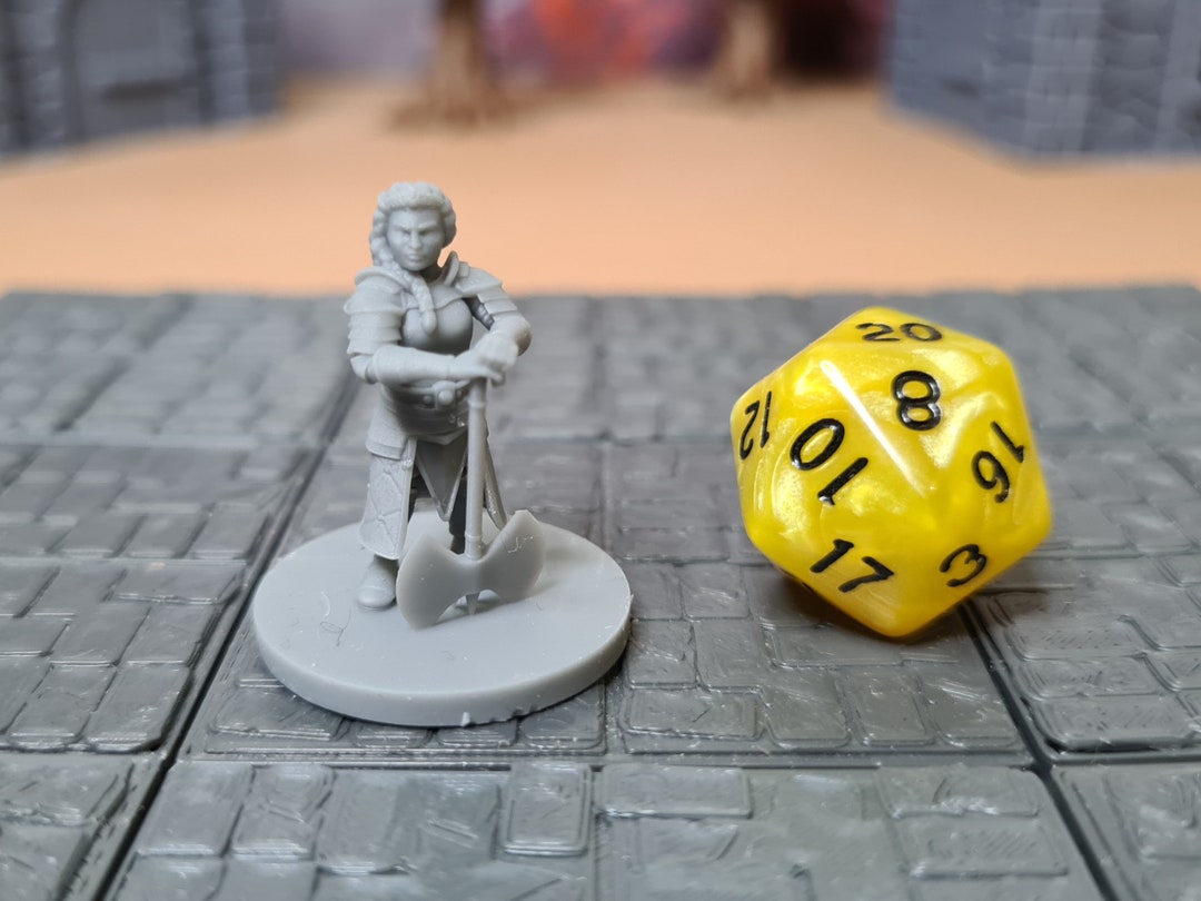 Female Dwarf Fighter | 28mm (D&D) | Hero/npc Miniature | Tabletop RPG ...