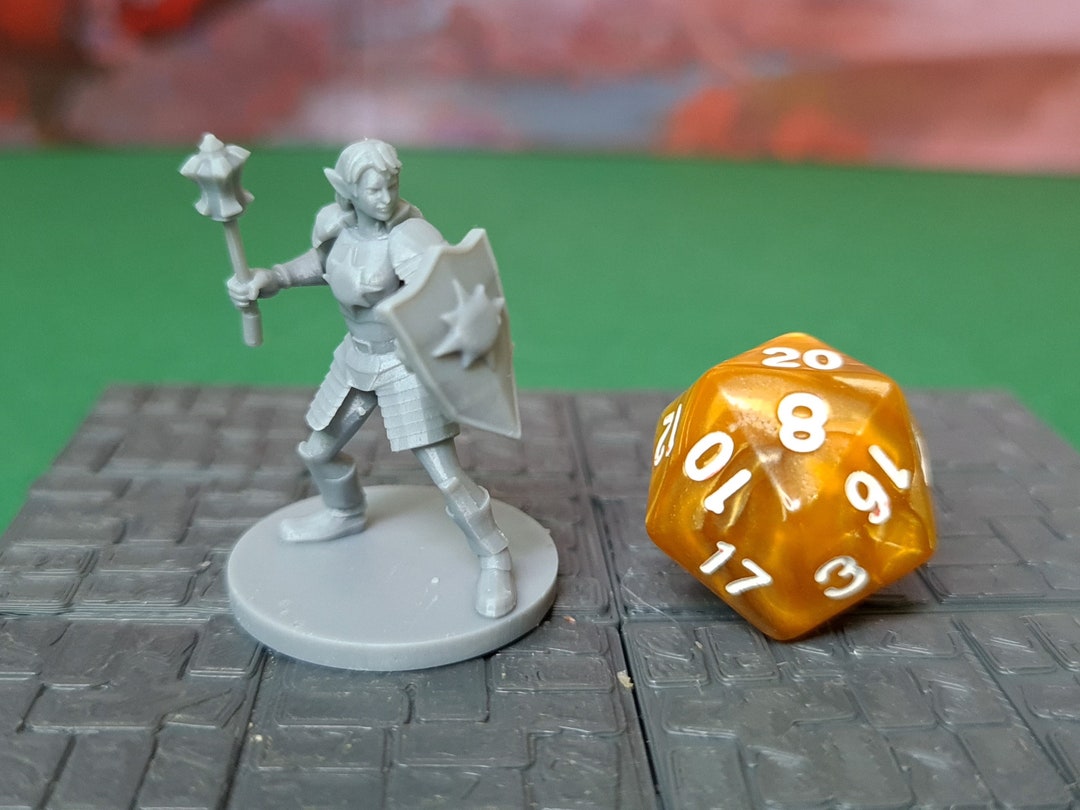 Elven Paladin | 28mm (D&D) Female Paladin Miniature | Tabletop RPG - Etsy