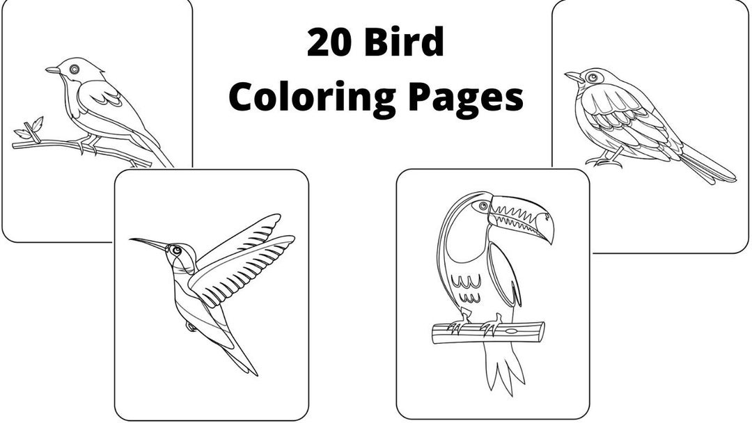 20 Bird Coloring Pages (digital Download) - Etsy