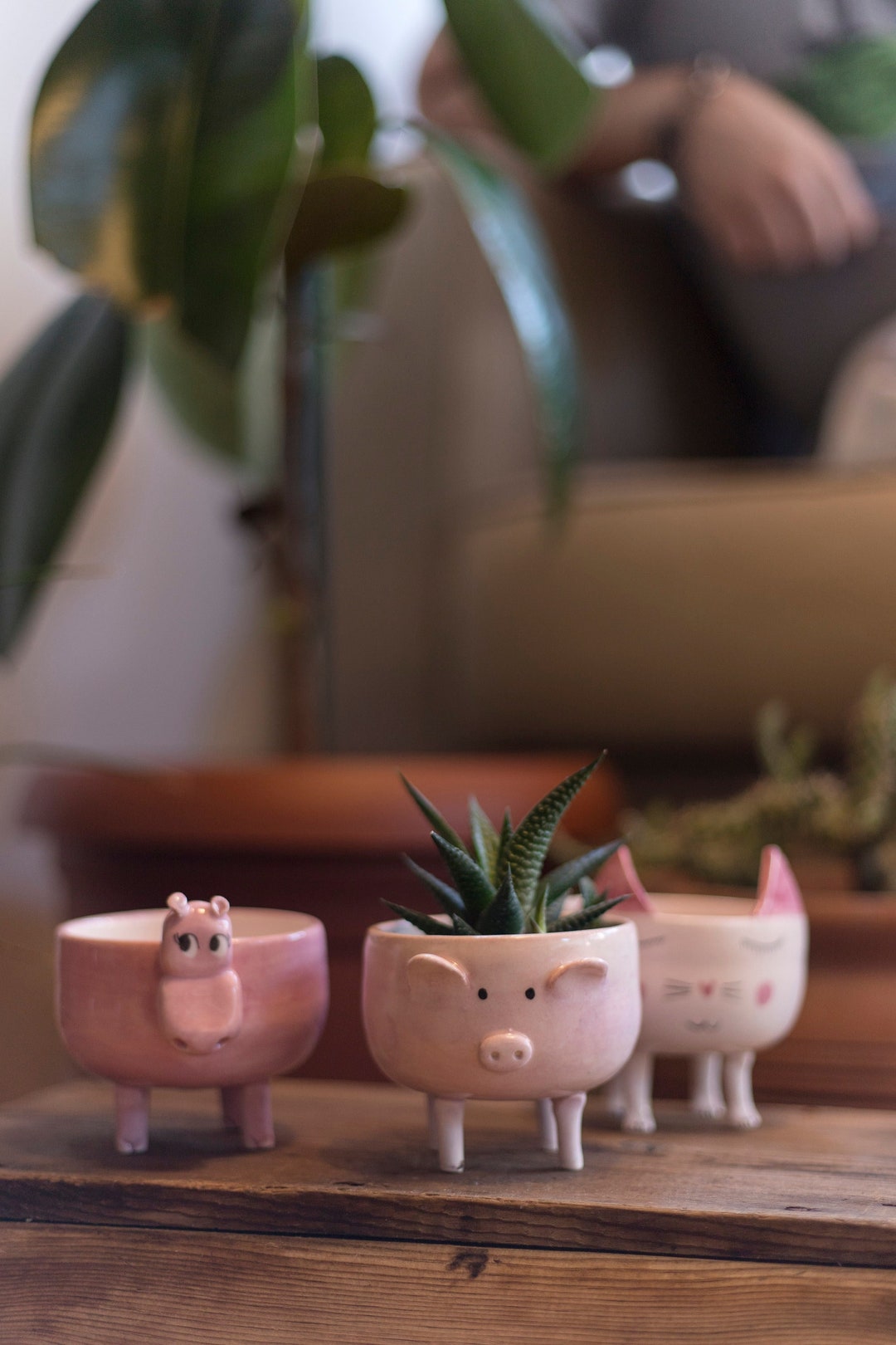 Original Unique Cute Animal Figured Pot, Pig Pot, Dog Pot, Cat Pot ...