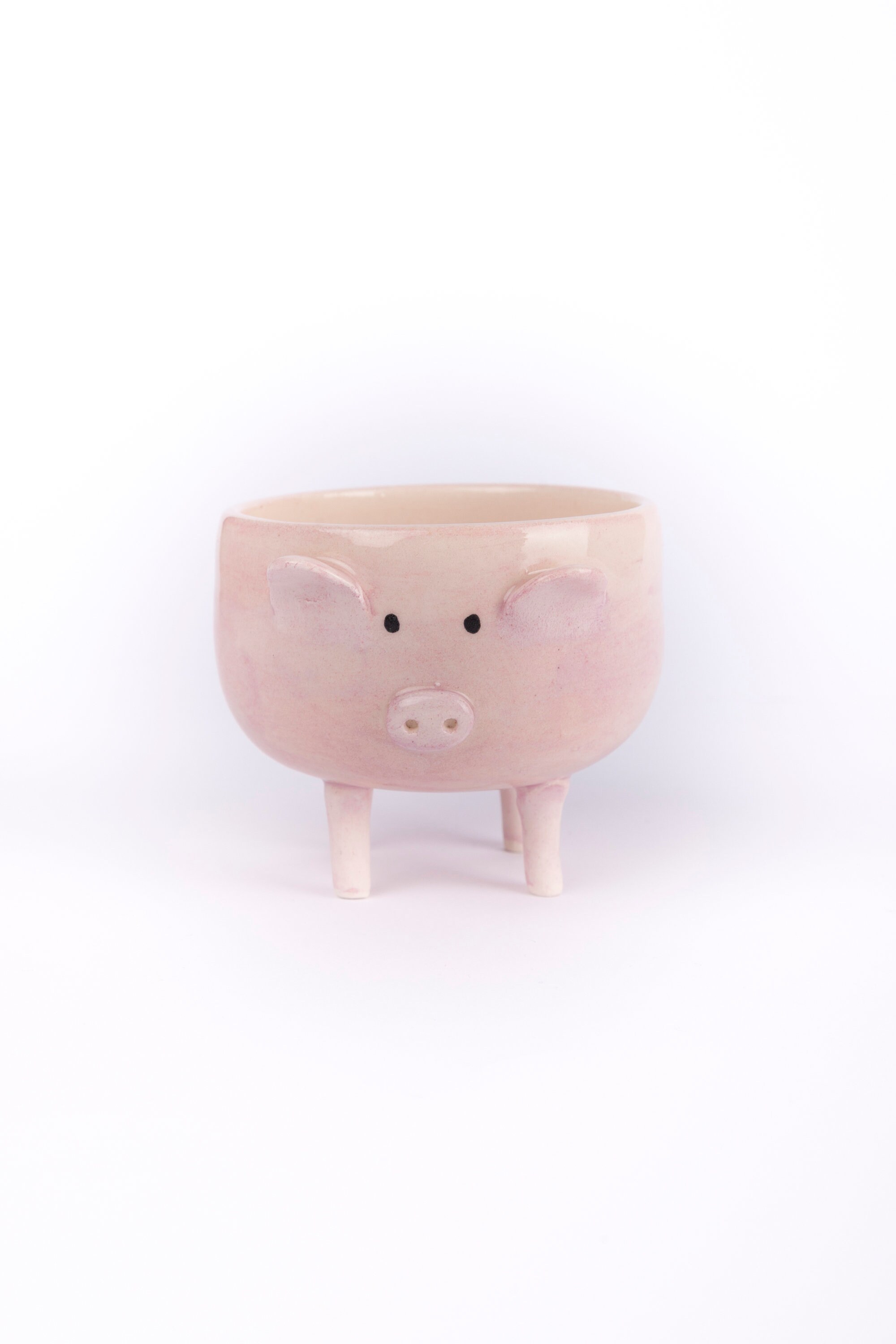 Original Unique Cute Animal Figured Pot, Pig Pot, Dog Pot, Cat Pot ...