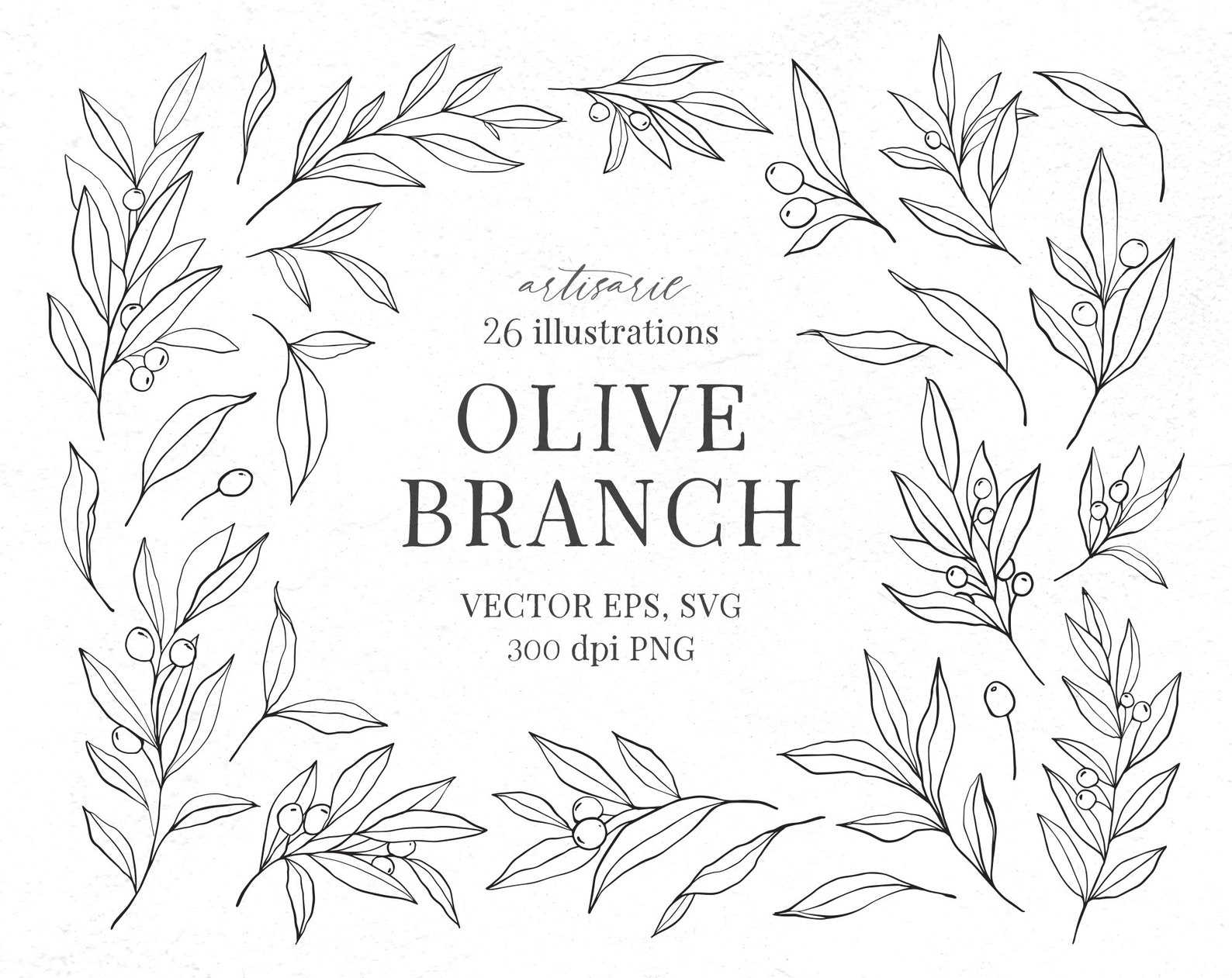 Olive Branch Clipart, Botanical Line Art Illustrations, Botanical ...