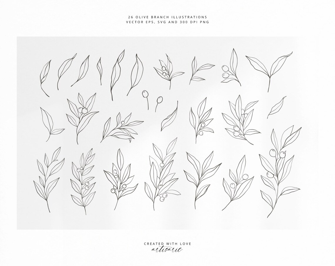 Olive Branch Clipart, Botanical Line Art Illustrations, Botanical ...