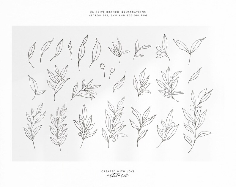 Olive Branch Clipart, Botanical Line Art Illustrations, Botanical ...