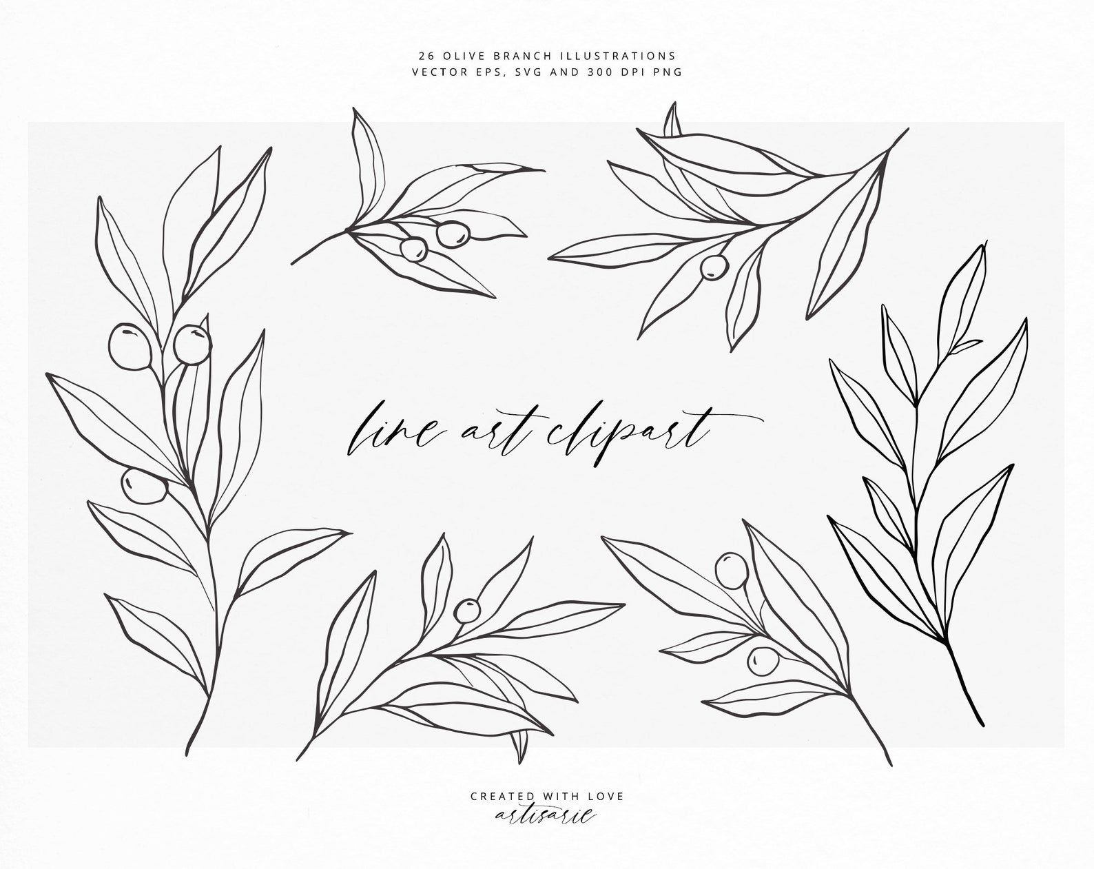 Olive Branch Clipart, Botanical Line Art Illustrations, Botanical ...