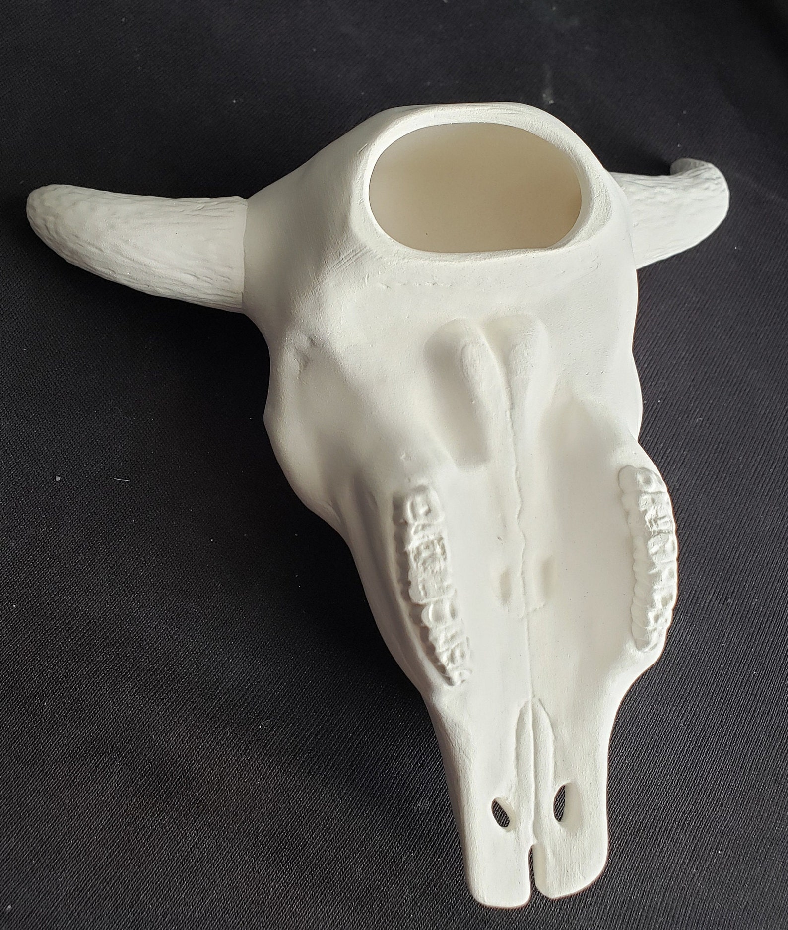 Ceramic Bisque - Small Longhorn Cow Skull - Etsy