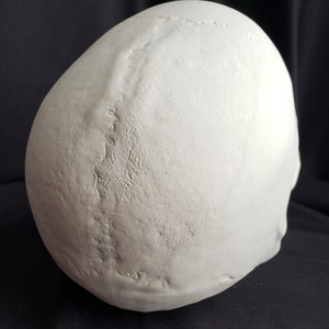 Ceramic Bisque - Realistic Skull 7-1/2" - Etsy