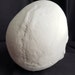 Ceramic Bisque - Realistic Skull 7-1/2" - Etsy