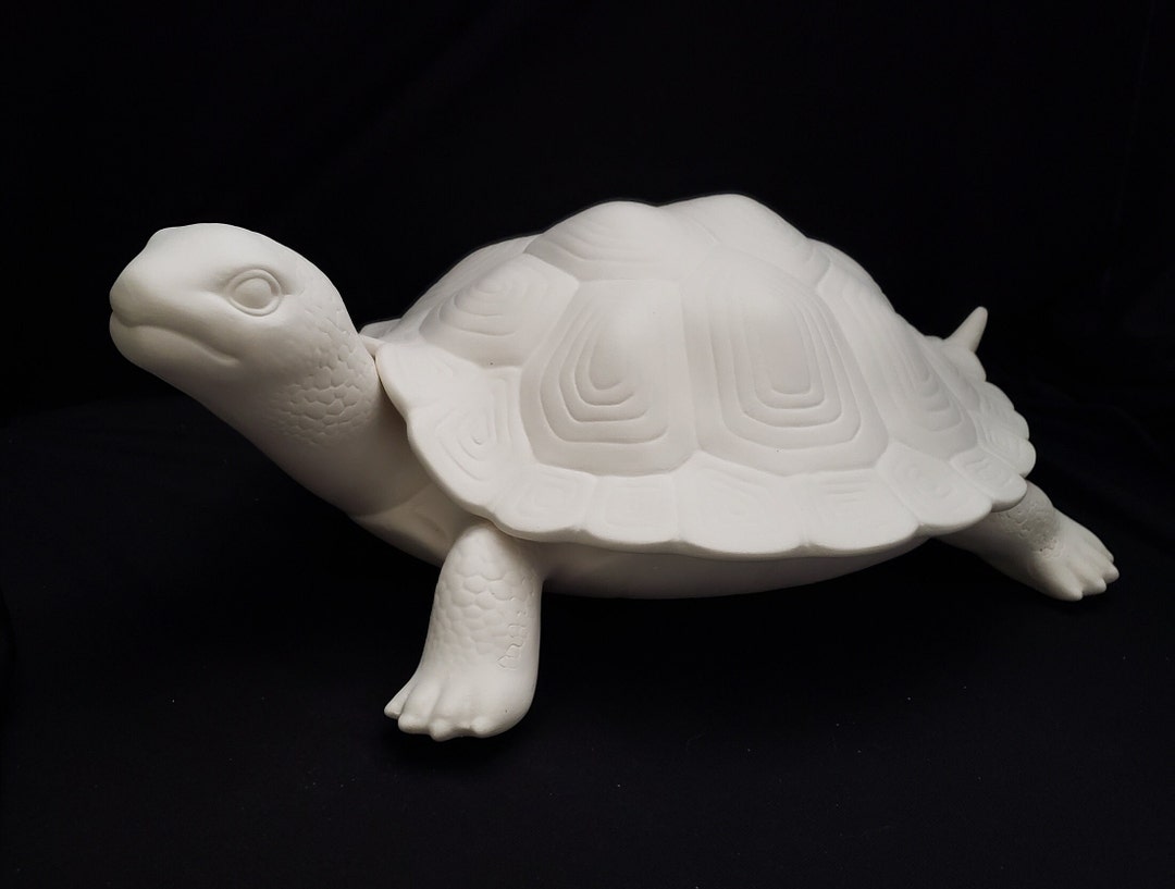 Ceramic Bisque Large Turtle Box With Shell Lid - Etsy