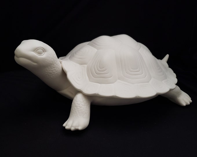 Ceramic Bisque - Large Turtle Box With Shell Lid - Etsy