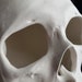 Ceramic Bisque Realistic Skull 7-1/2 - Etsy