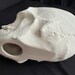 Ceramic Bisque Realistic Skull 7-1/2 - Etsy