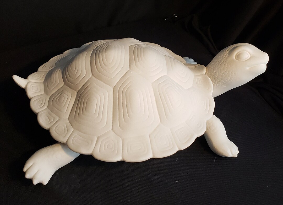Ceramic Bisque - Small Turtle Box - Etsy