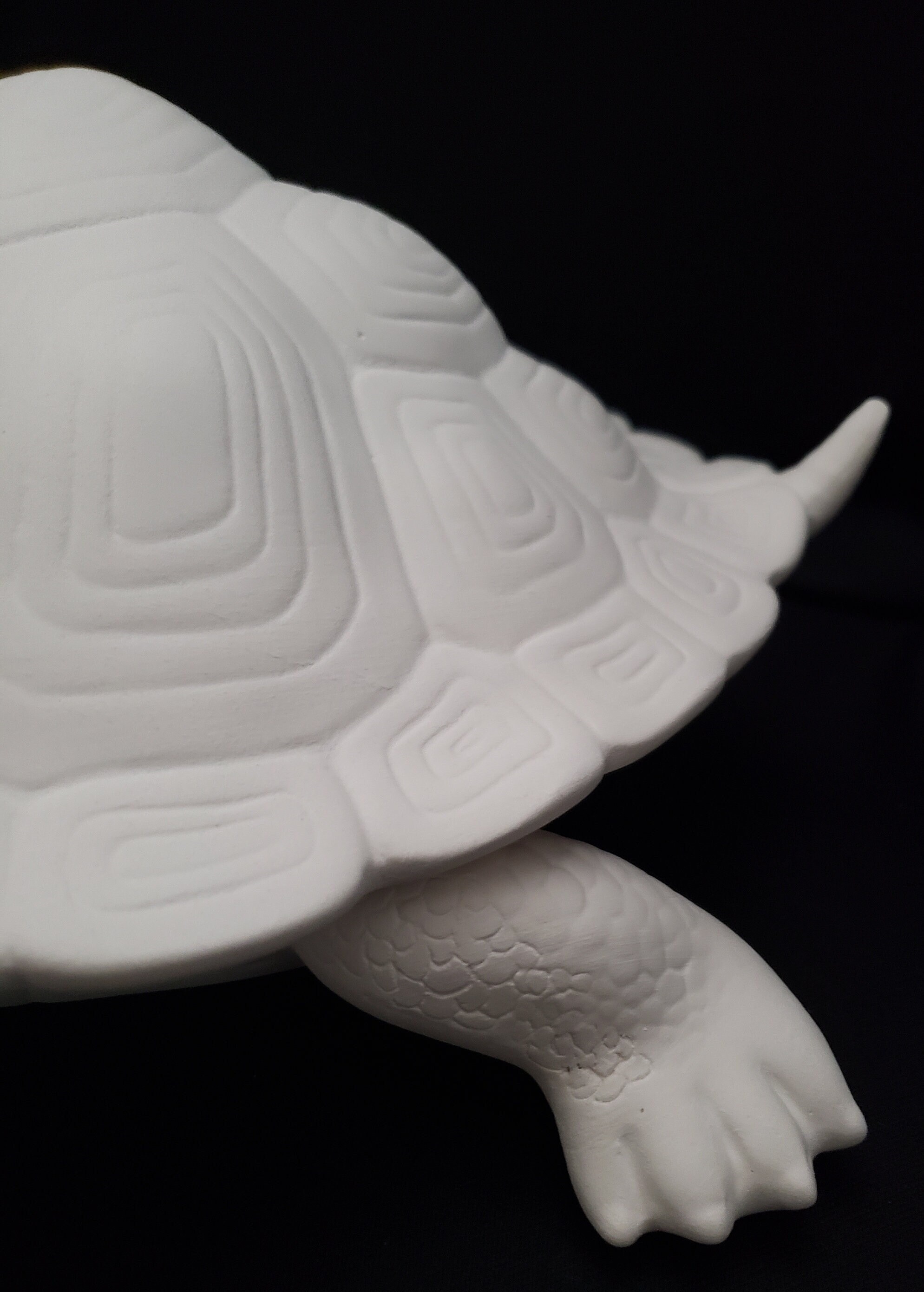Ceramic Bisque - Large Turtle Box With Shell Lid - Etsy