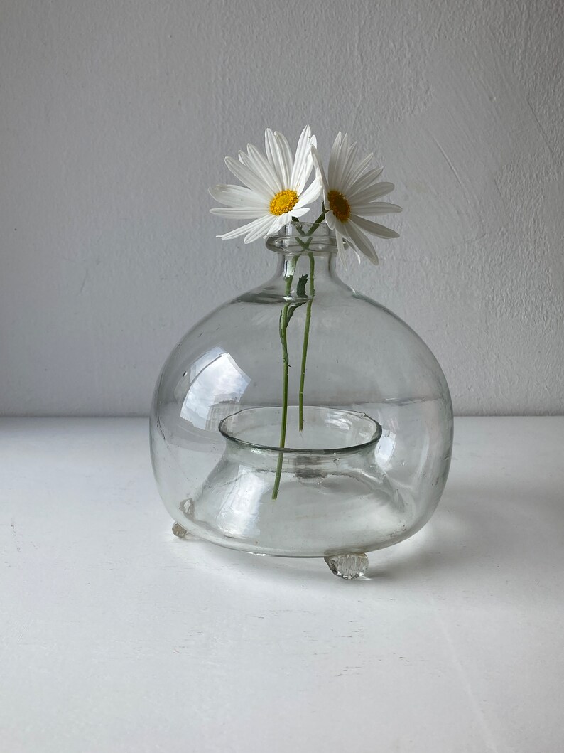 Rare French Antique Glass Insect Trap Fly Catcher Fruit Fly - Etsy