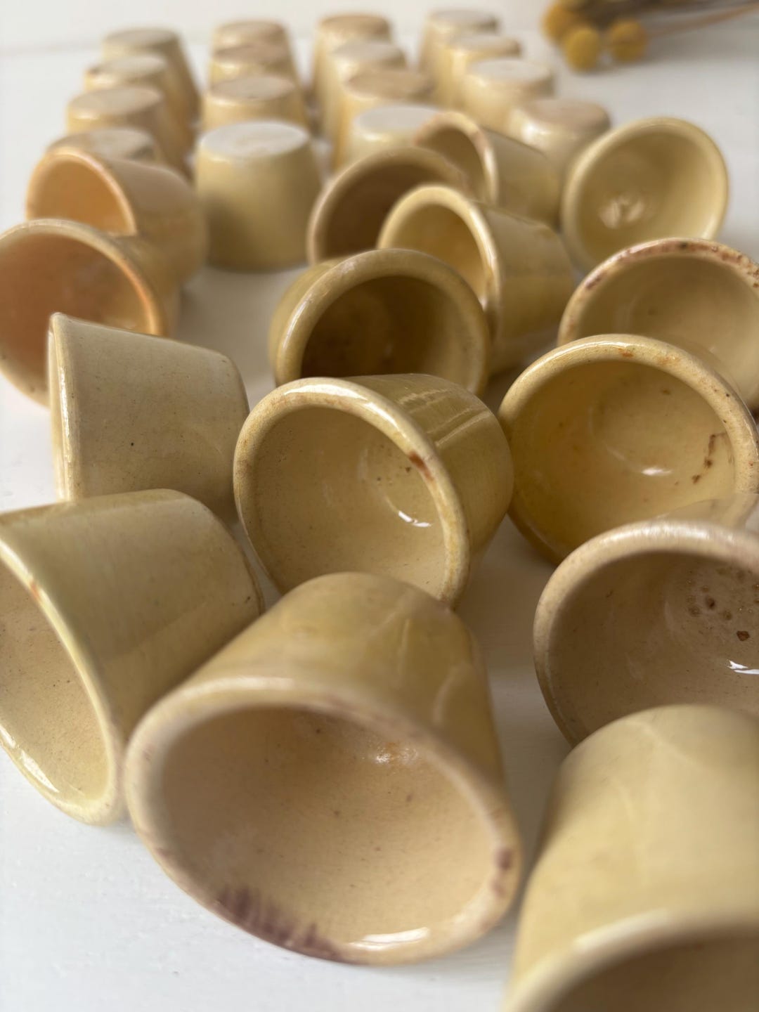 6 French Vintage Terracotta Snail Pots, Yellow Ochre, Escargot Pots ...