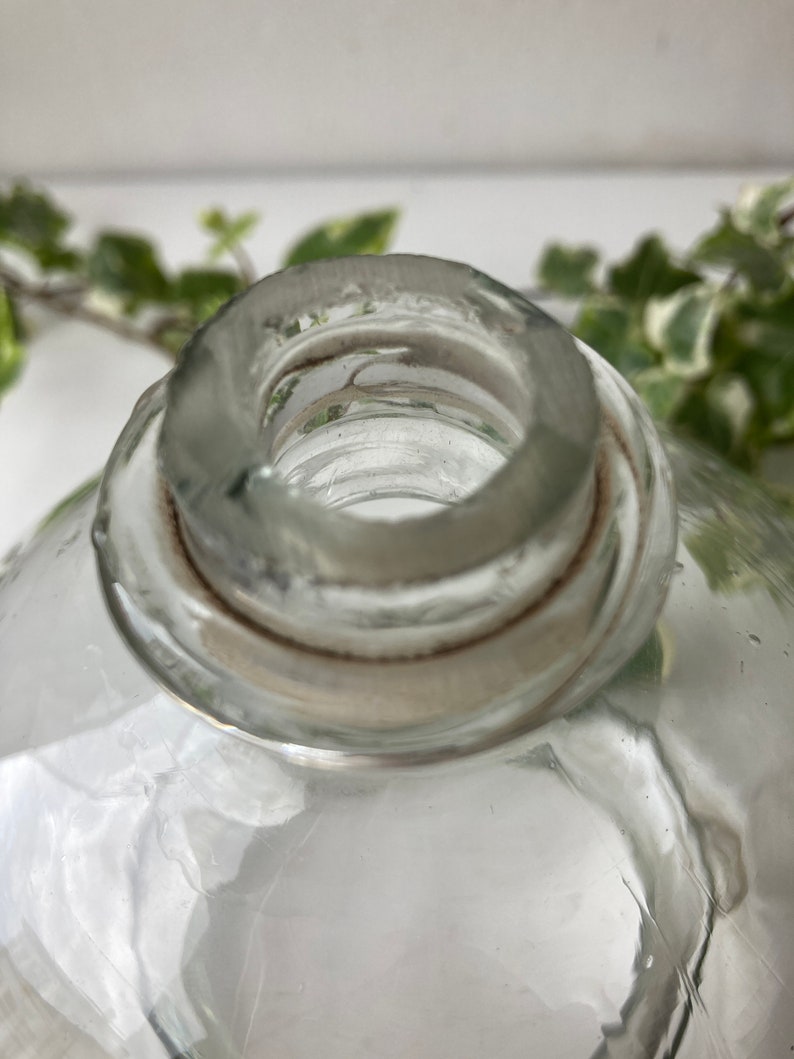 Rare French Antique Glass Insect Trap Fly Catcher Fruit Fly - Etsy