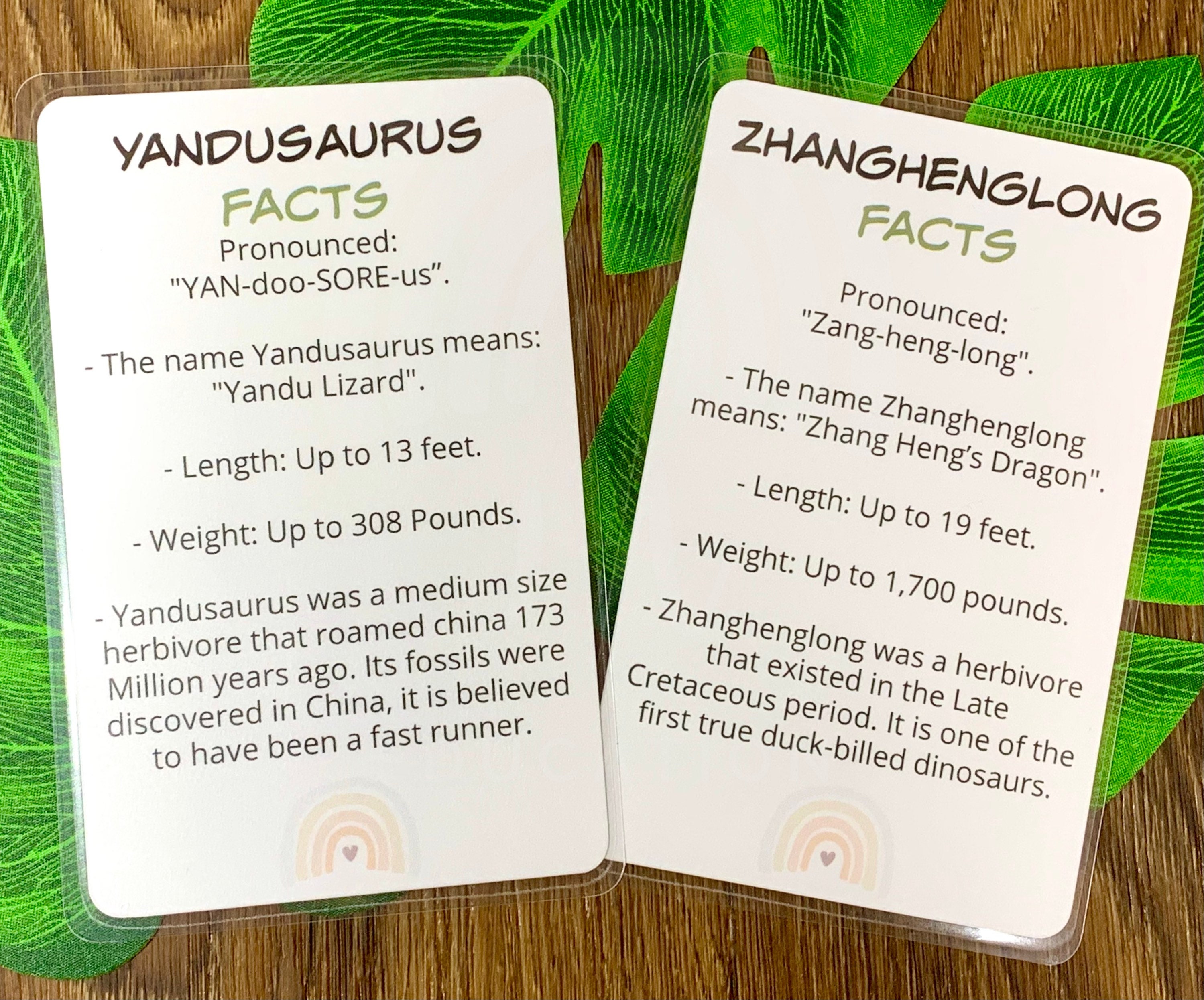 Dinosaur Flashcards & Wall Art 4 5 6 7 Year Old Gift Dino - Etsy