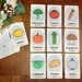 Spanish Printable Montessori Flashcards, Toddler Kids Learning Spanish ...