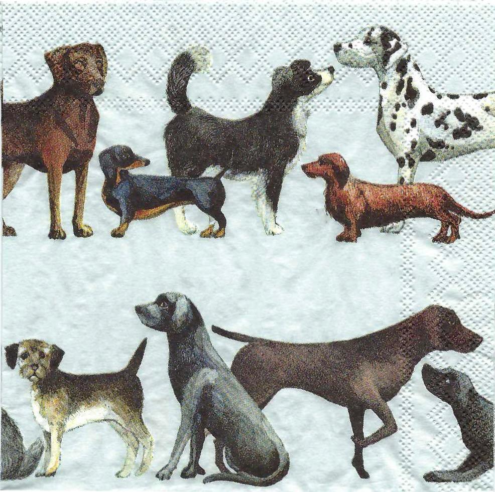 Decoupage Napkinsdogs of Multiple Breeds Includes 3 Individual Cocktail ...