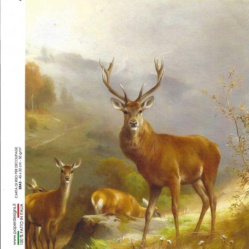 Rice Paper for Decoupage - Etsy