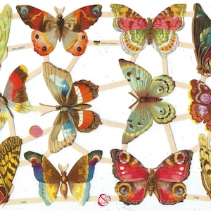 Butterflies Die Cut Sheet Embossed Vintage Style Multiple Images ...