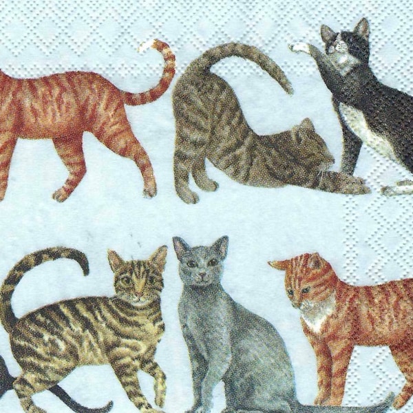 Decoupage Cat - Etsy