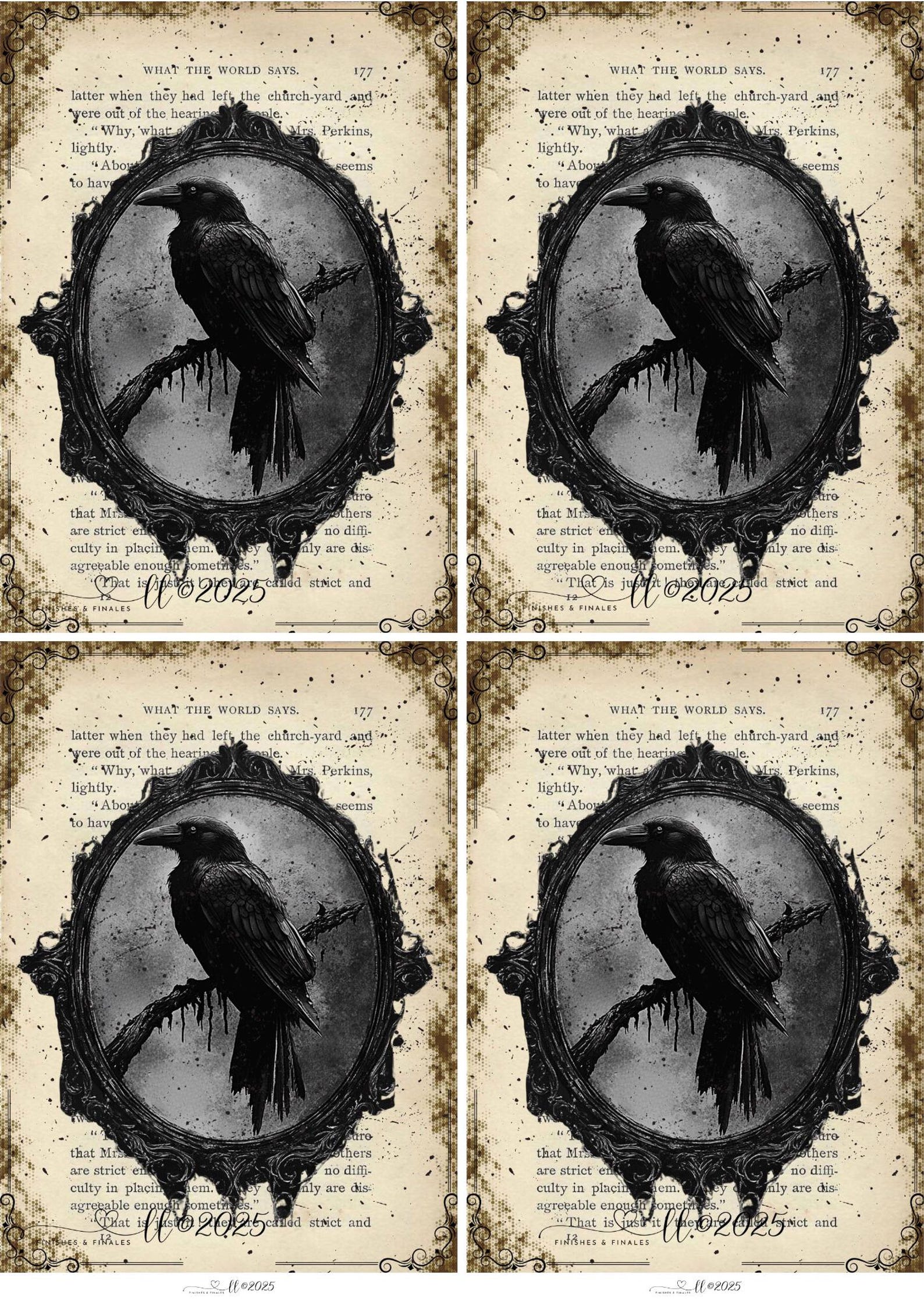 Black Crow Rice Paper for Decoupage in Crest on Antique Book Sheet ...