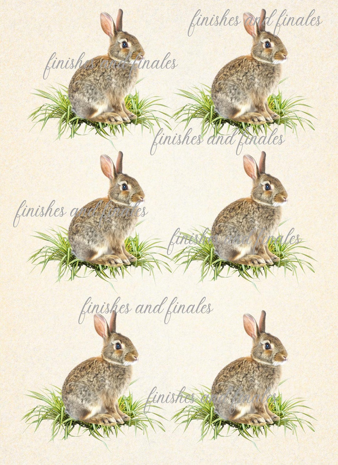 Wild Rabbits Rice Paper A4 Sizes Six Matching Rabbit Images on Grass ...