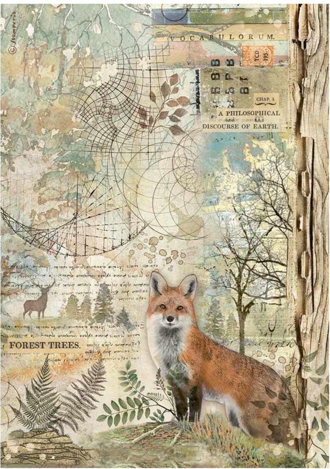 Stamperia Forest Collection Fox Rice Paper Gorgeous NEW Woodland Forest ...