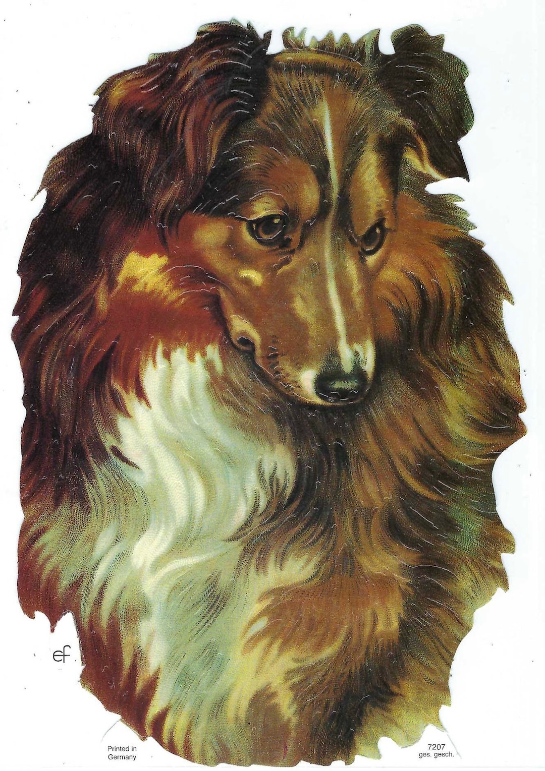 Die Cut Sheet Large Collie Dog Embossed Vintage Style, Imported From ...