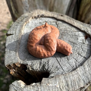Geocache Fake Poo Tough Waterproof Container a Bit Gross but Fun - Etsy