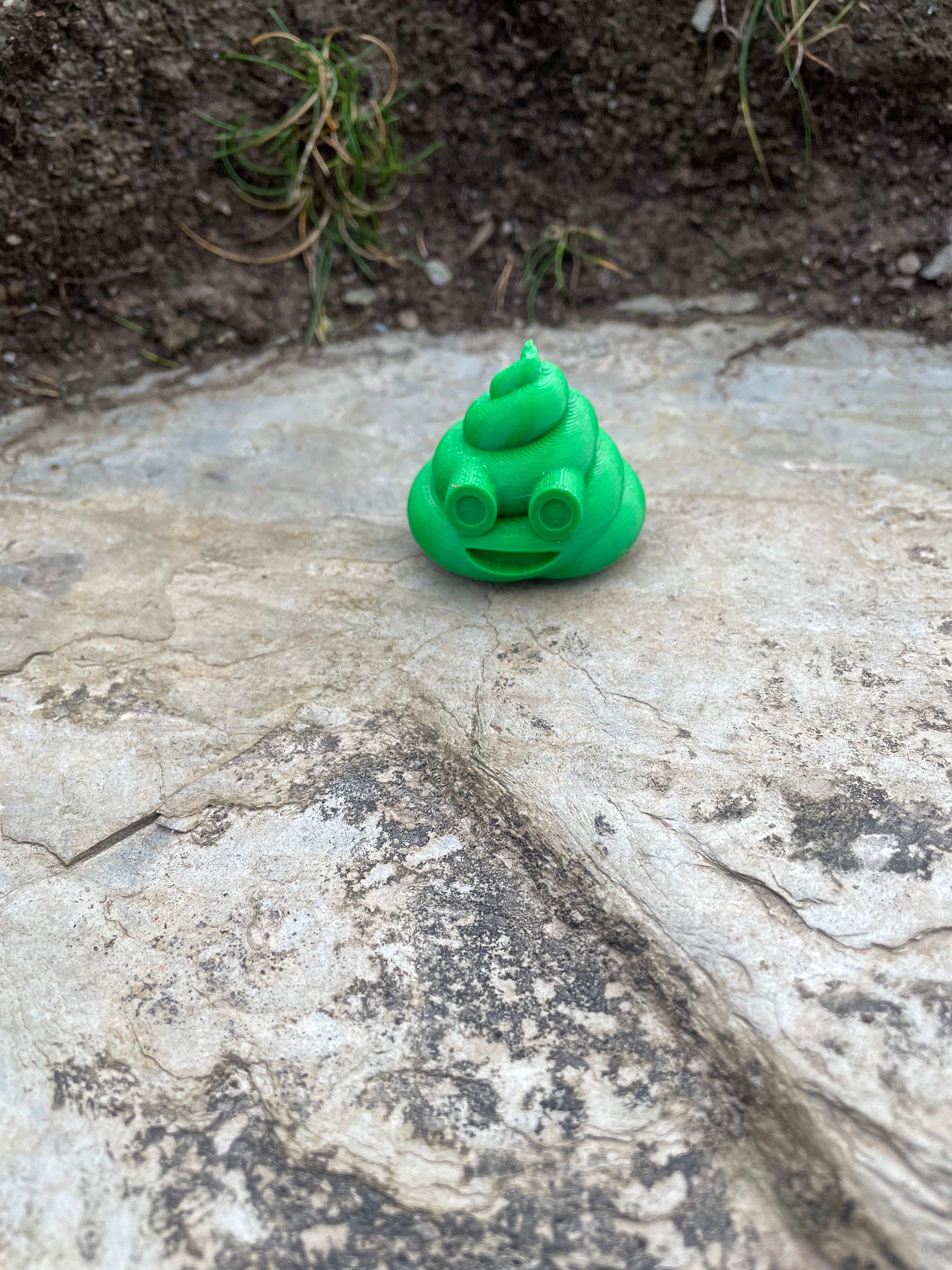 Poo Emoji Geocache Set of 3: Tough PETG Geocaching Containers - Etsy UK